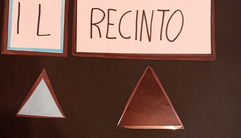 Articoli determinativi e indeterminativi scuola primaria