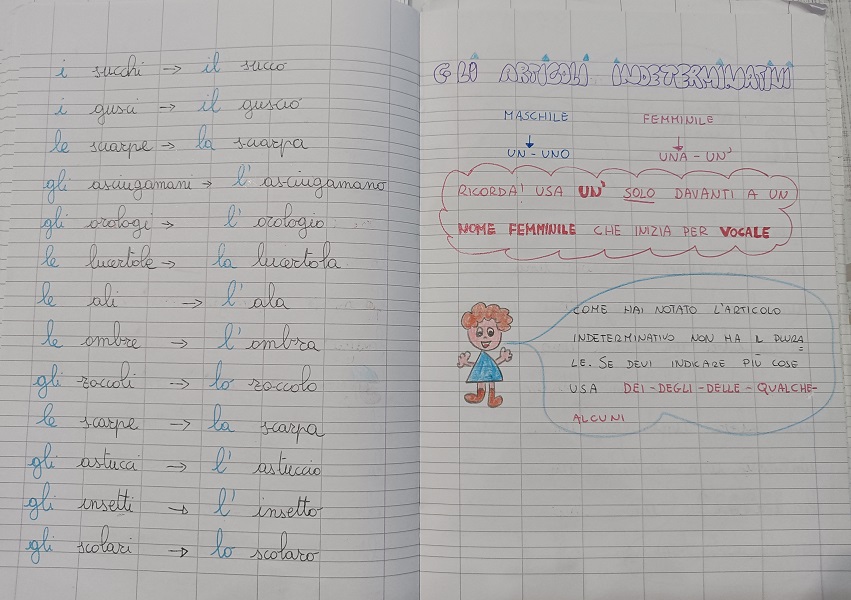 Articoli determinativi e indeterminativi scuola primaria