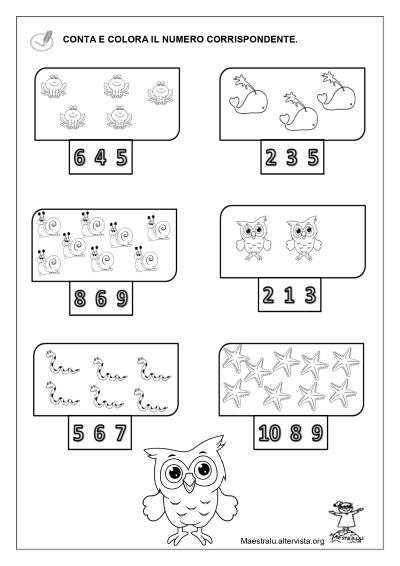 Numeri e quantità classe prima